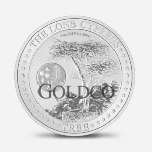 Buy Silver | Goldco's Silver Coins & products